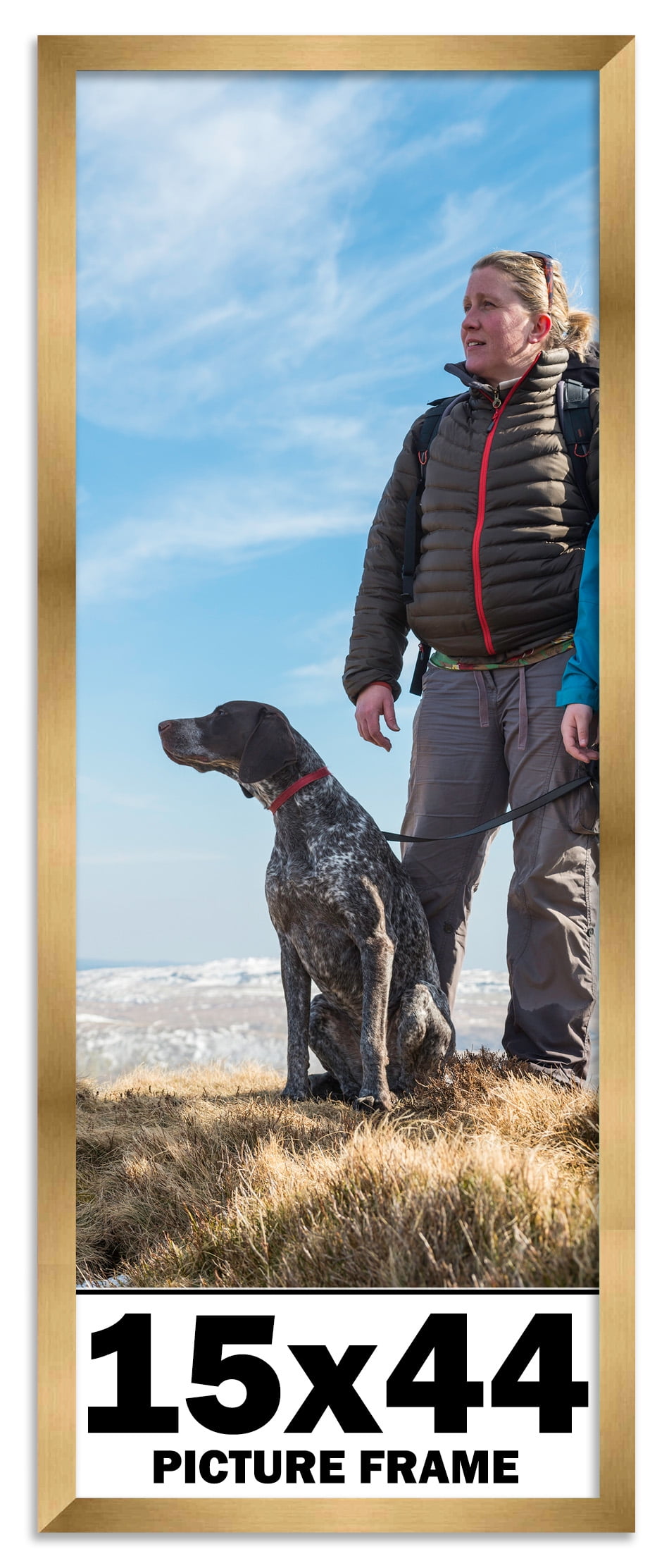 15x44 Frame Gold Bronze Modern Solid Wood Picture Frame | 0.75 Inch ...