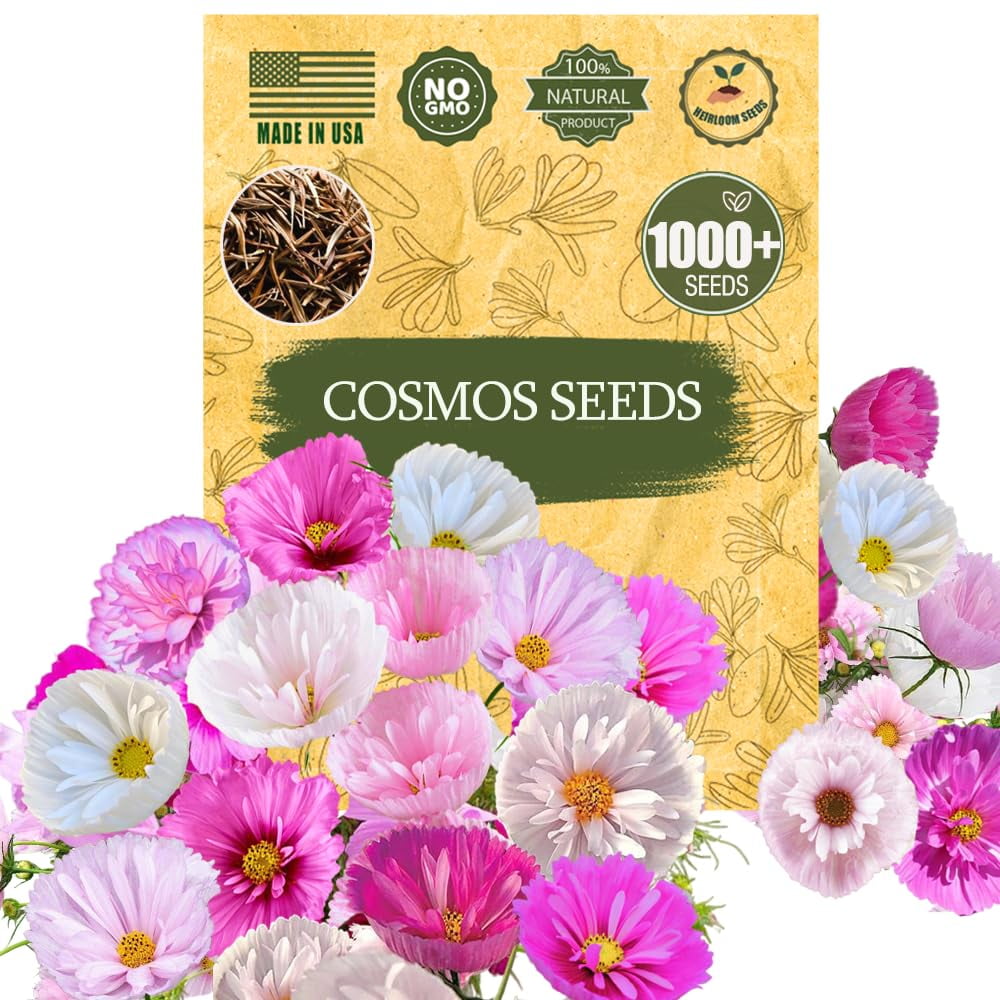 16,000 Scarlet NantesITSC Carrot Seeds for Planting Heirloom Non-GMO 28 ...