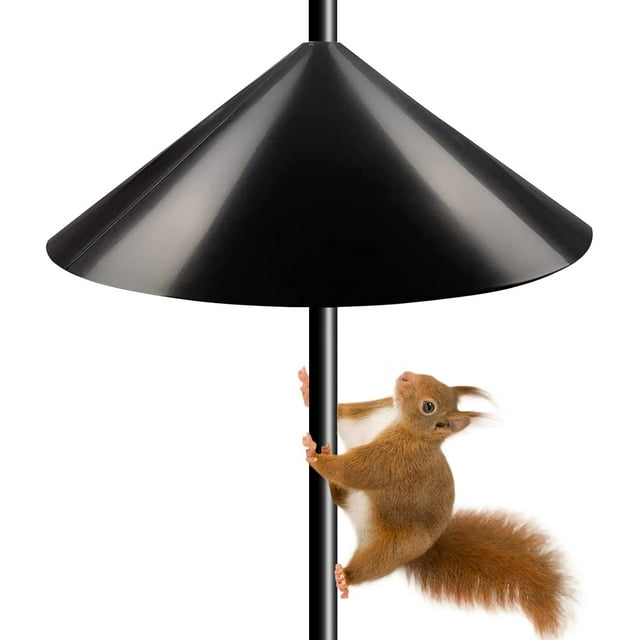 16/18/19 Inches Plastic Squirrel Proof Baffle – Wide Squirrel ...