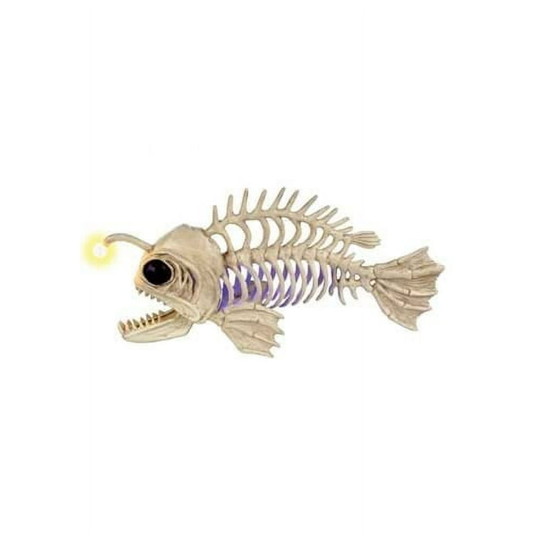 Down Under The Deep Sea Fish