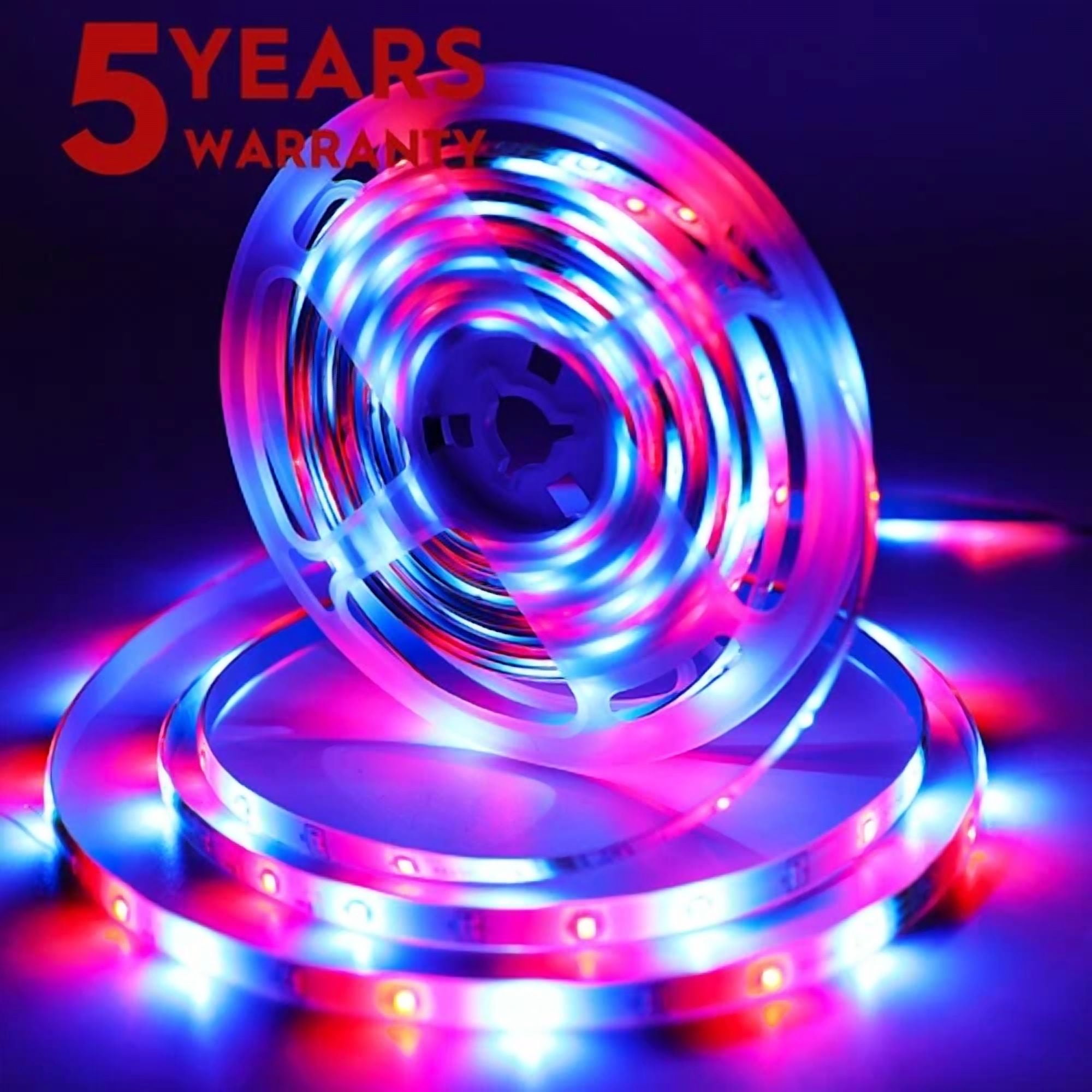 16.4Ft 2835 Super Bright Waterproof Rgb Color Led Strip Light Dc12V 2A ...