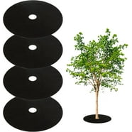 SuperMoss Moss Pot Toppers 10" 3/Pkg-Green - Walmart.com