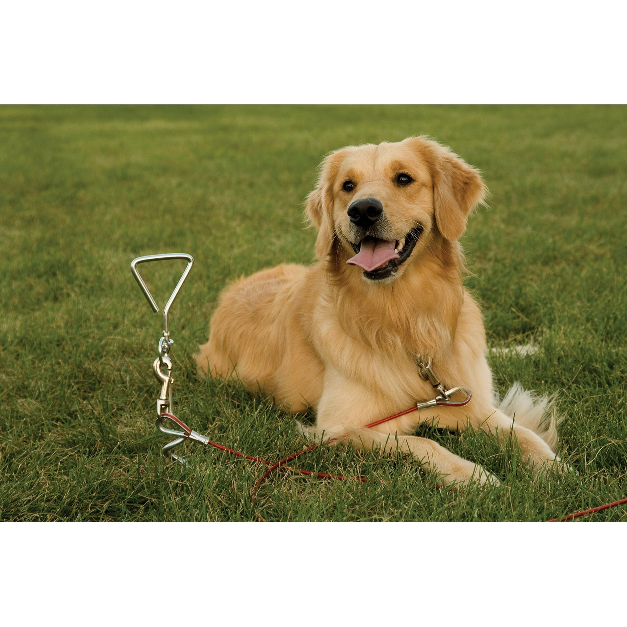 16" Dog Tie Out Chains for Outside, Chrome Heavy Duty Dog Tie, Out ...