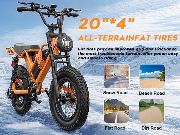 16" Fat Tire Ebike,750W Small Electric Bike,21.7MPH with Removable 48V ...