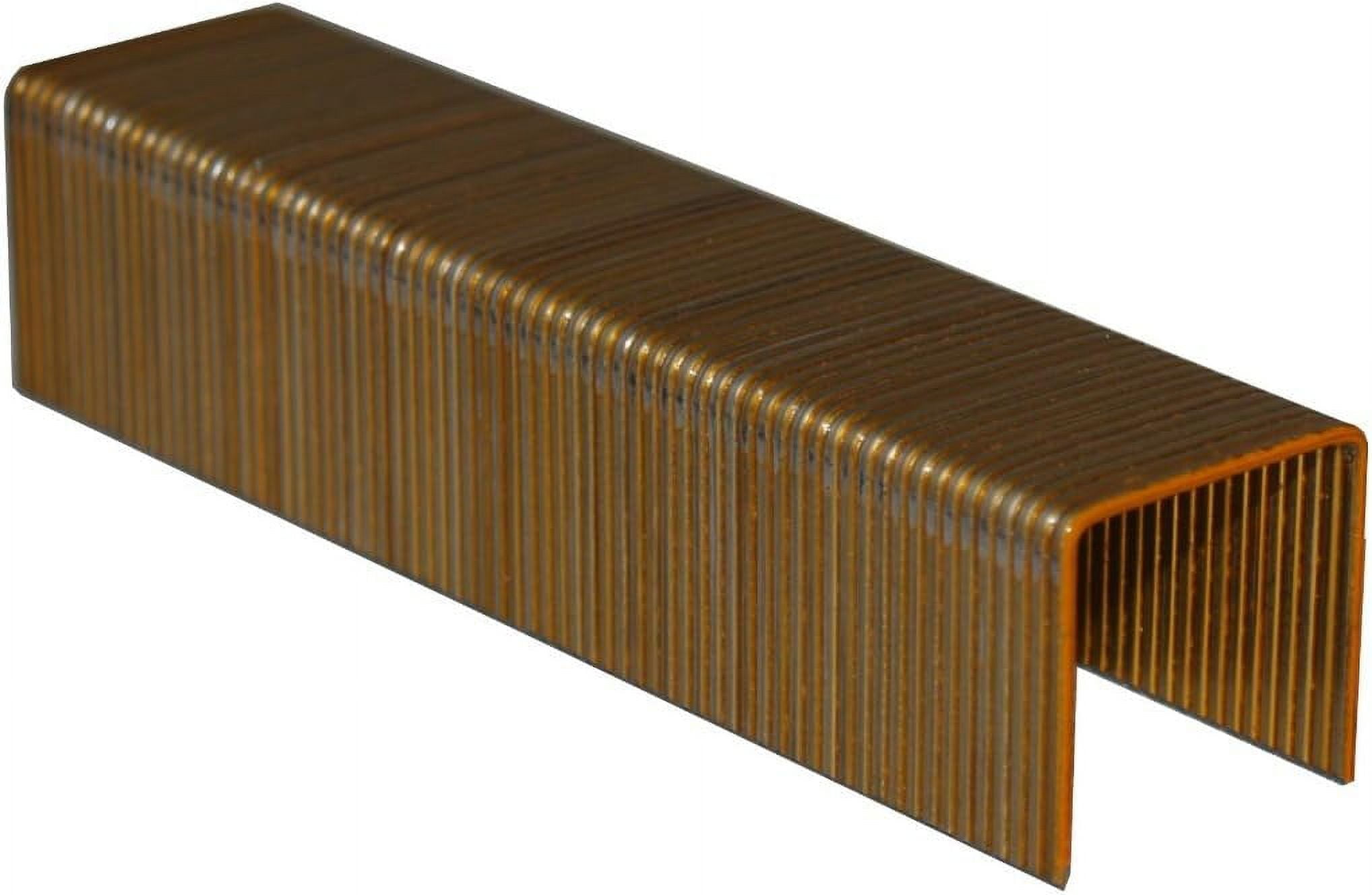 16-Gauge 1-Inch Wide Crown Staples 304 Stainless Steel, 10000-Piece ...