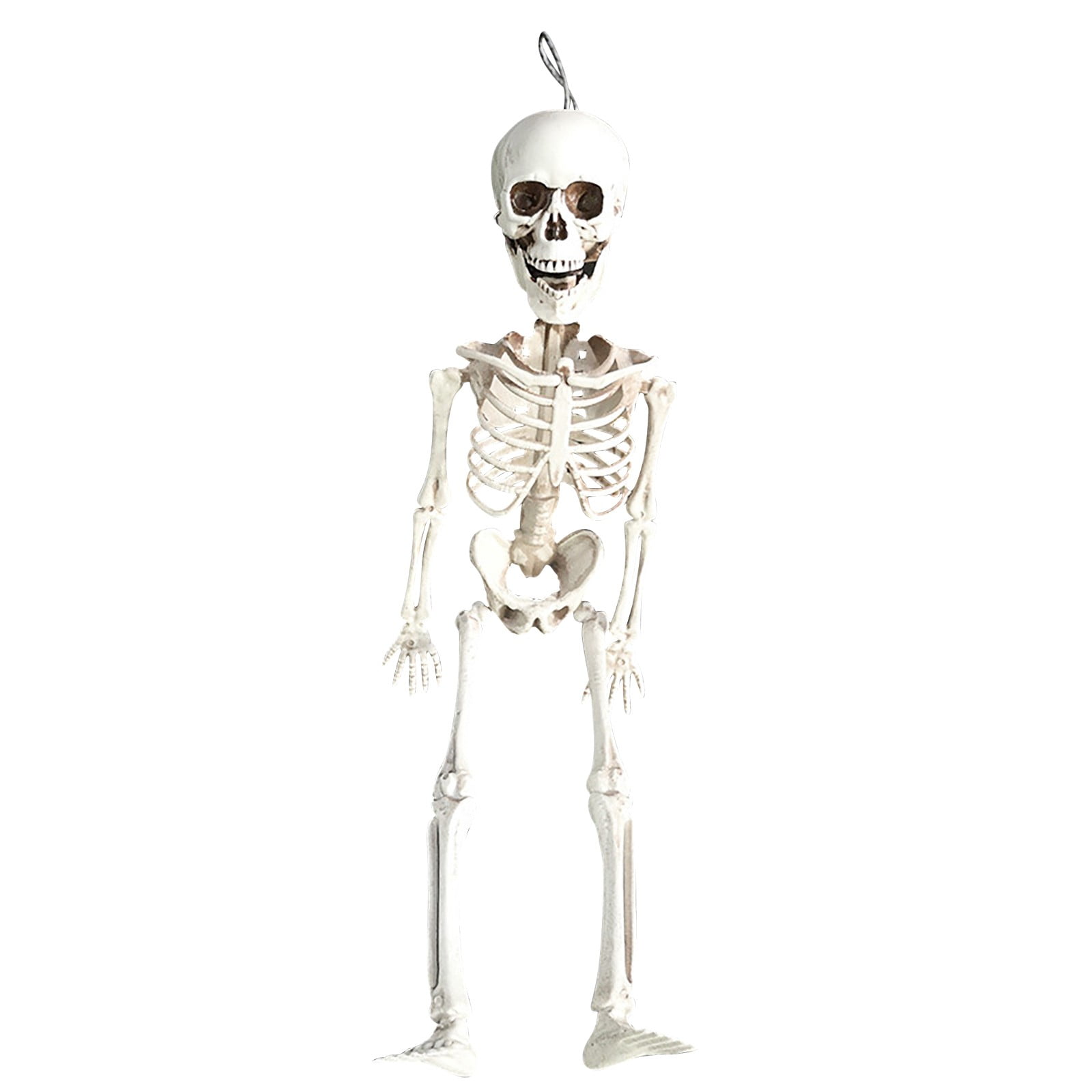 16" Halloween Skeleton Decorations, Full Body Realistic Human Skeletons ...