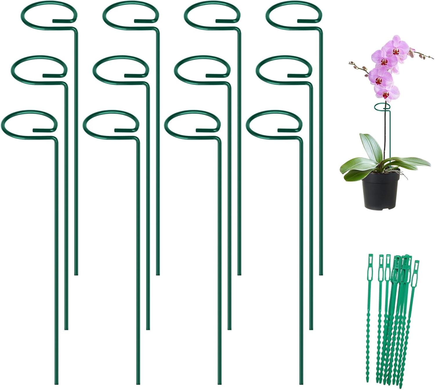 16 Inch 12 Pack Plant Support Stakes, Metal Garden Flower Stakes and ...