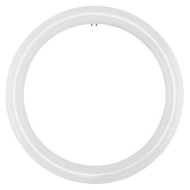 16 Inch/ 16" Plug & Play T9 Circline LED Lamp - Cool White (4100K ...
