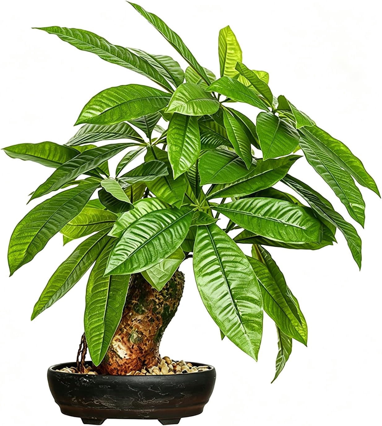 16 Inch Fake Money Tree, Artificial Bonsai Money Tree for Good Luck ...