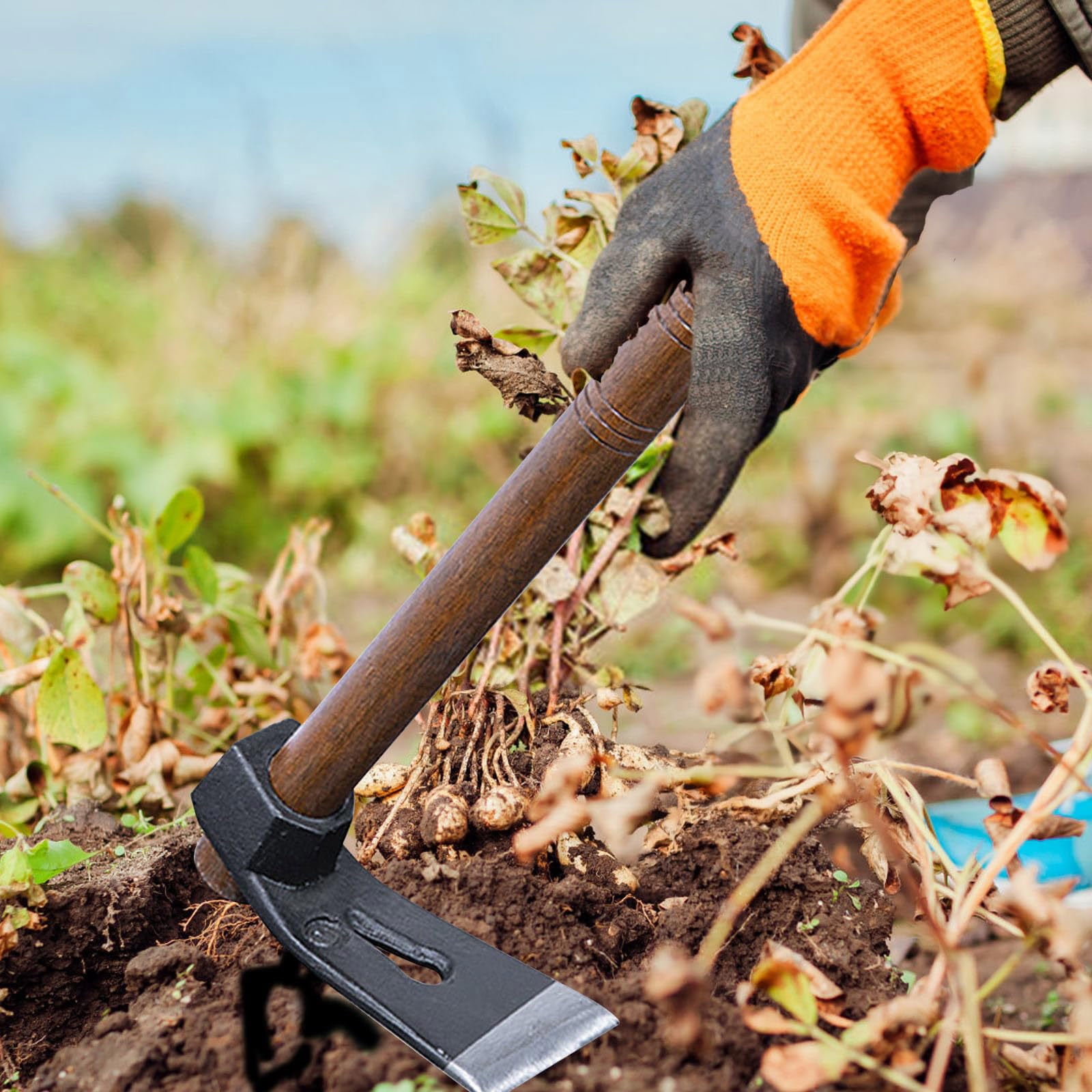 16 Inch Garden Hoe Mini Action Hoe For Loosening Soil And Weeding ...