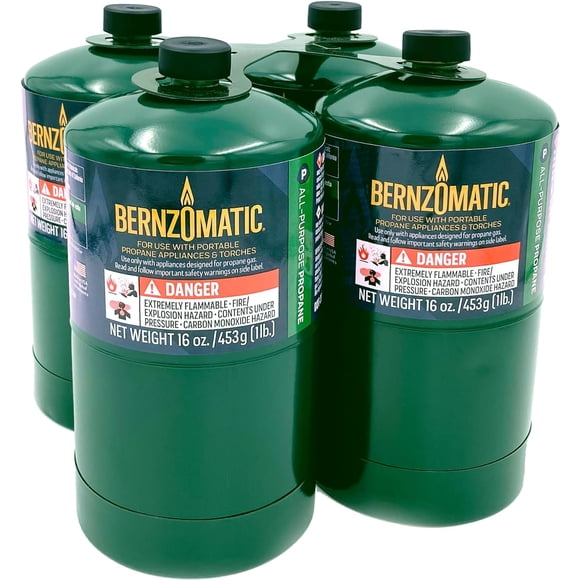 Small Propane Tank