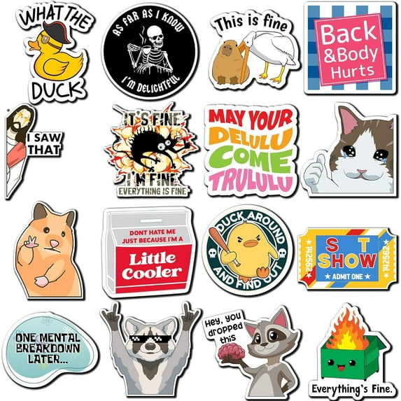 16 PCS Funny Fridge Magnets for Adults, and Words for Refridgerator ...