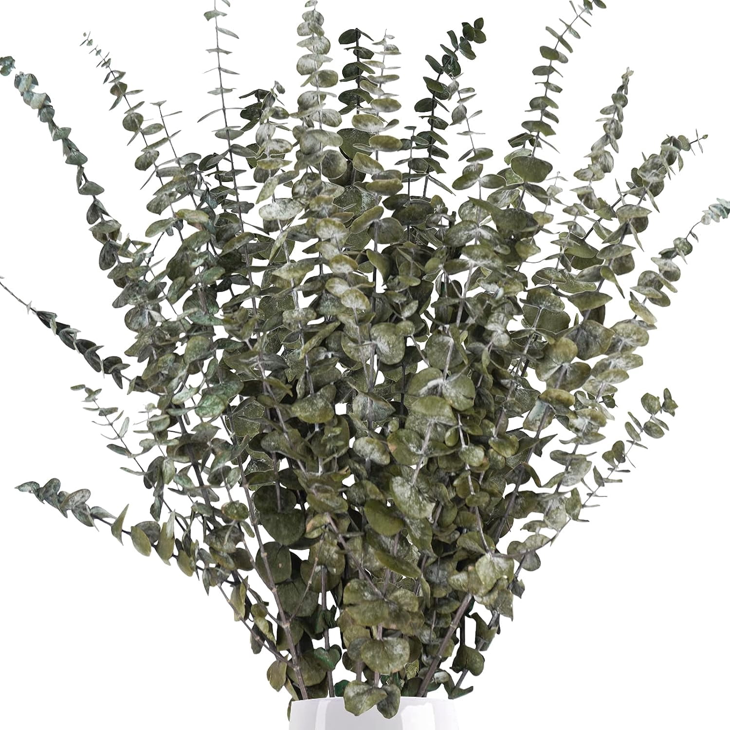 16 PCS Mix Dried Eucalyptus Stems Bundle, 17" Natural Eucalyptus Leaves ...