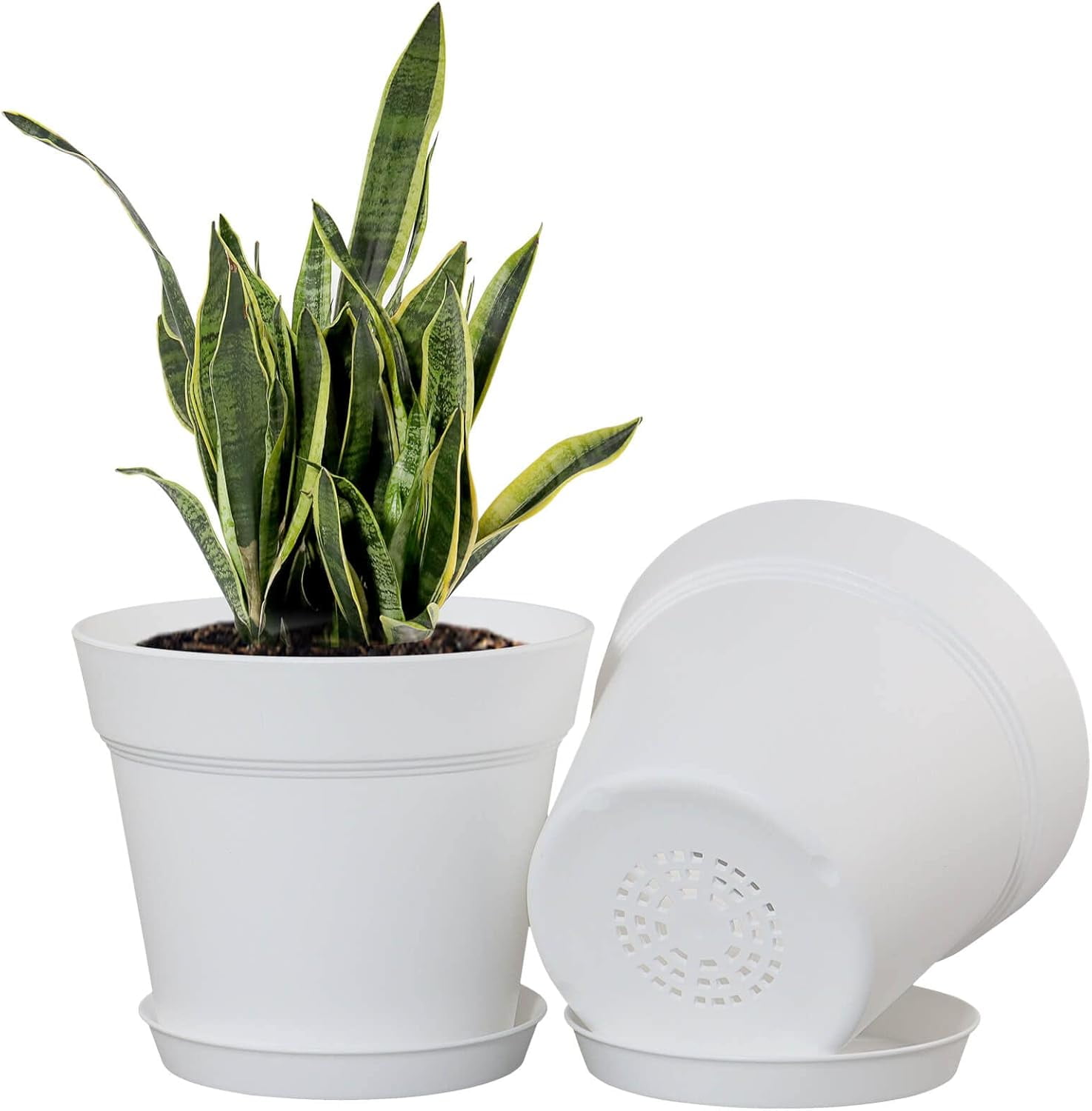 16 Pack 6 inch Plastic Planters, Indoor Flower Pots, Heavy Duty and ...