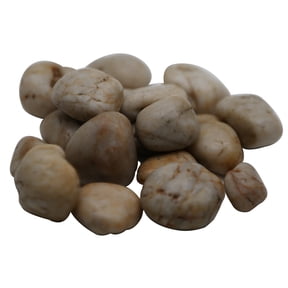 River Rocks
