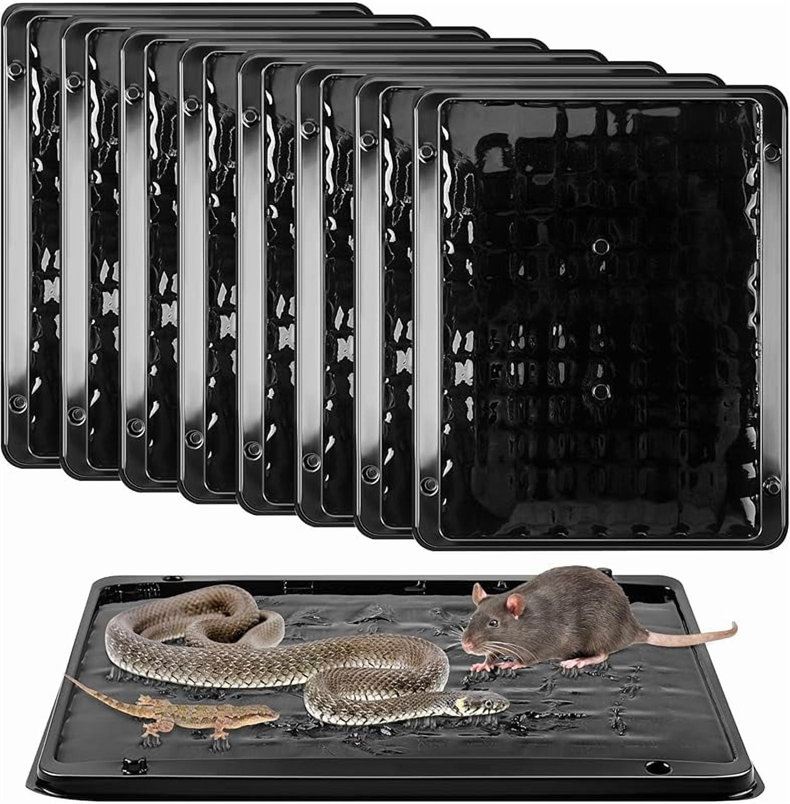 16 Pack Jumbo Rat & Mouse Glue Traps, Larger and Heavy Duty Mouse Traps ...