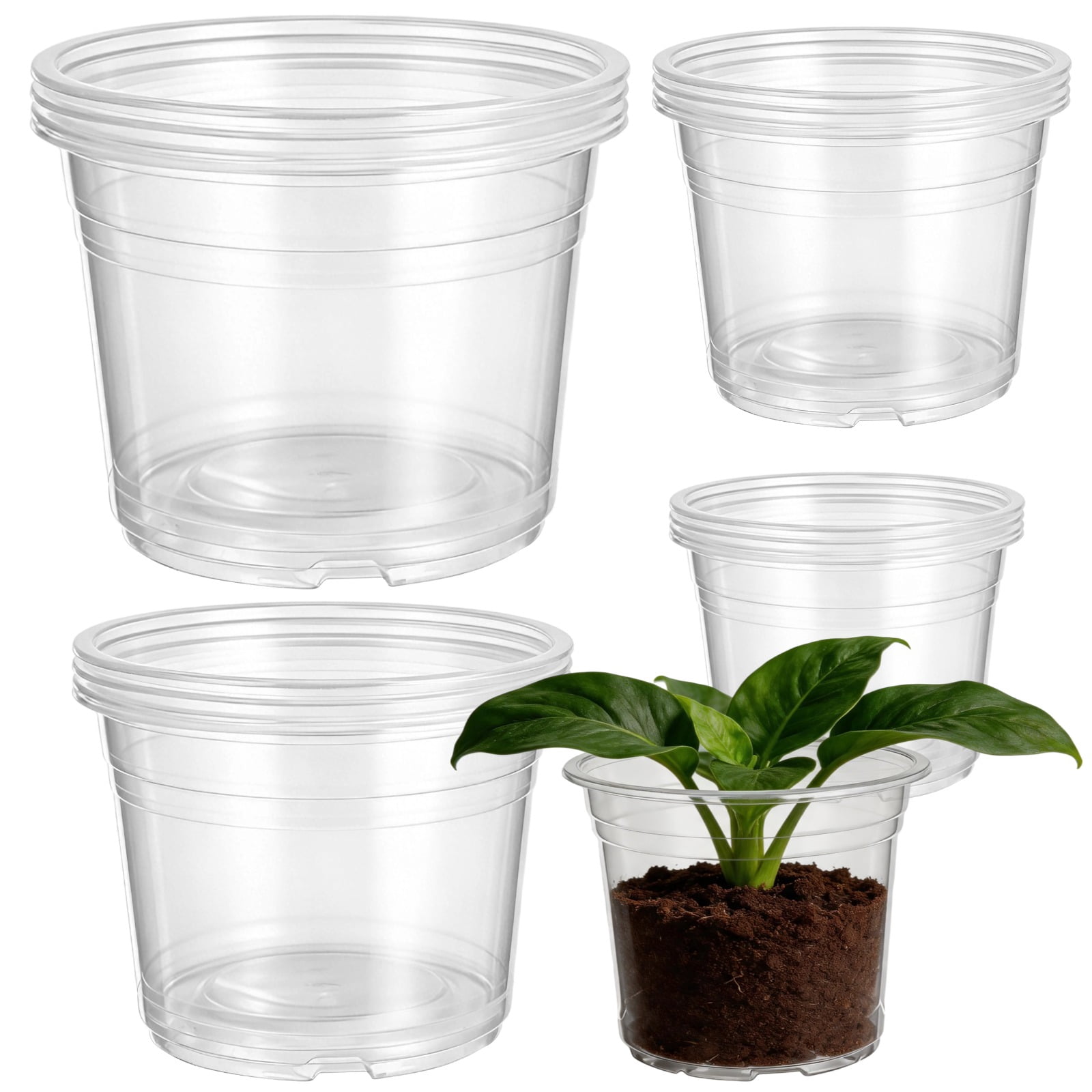 16 Pcs Clear Plastic Nursery Pots with Drainage, Integrated Seedling ...