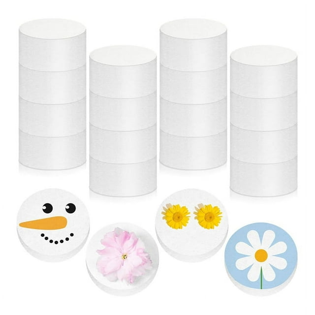 16 Pcs Foam Circles Polystyrene Foam Discs Cylinders Foam Crafts Round ...