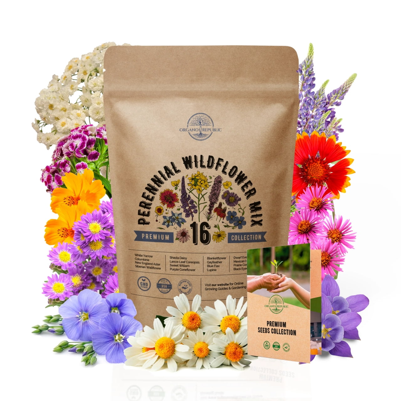 16 Perennial Wildflower Seeds Mix for Planting Indoor & Outdoors ...