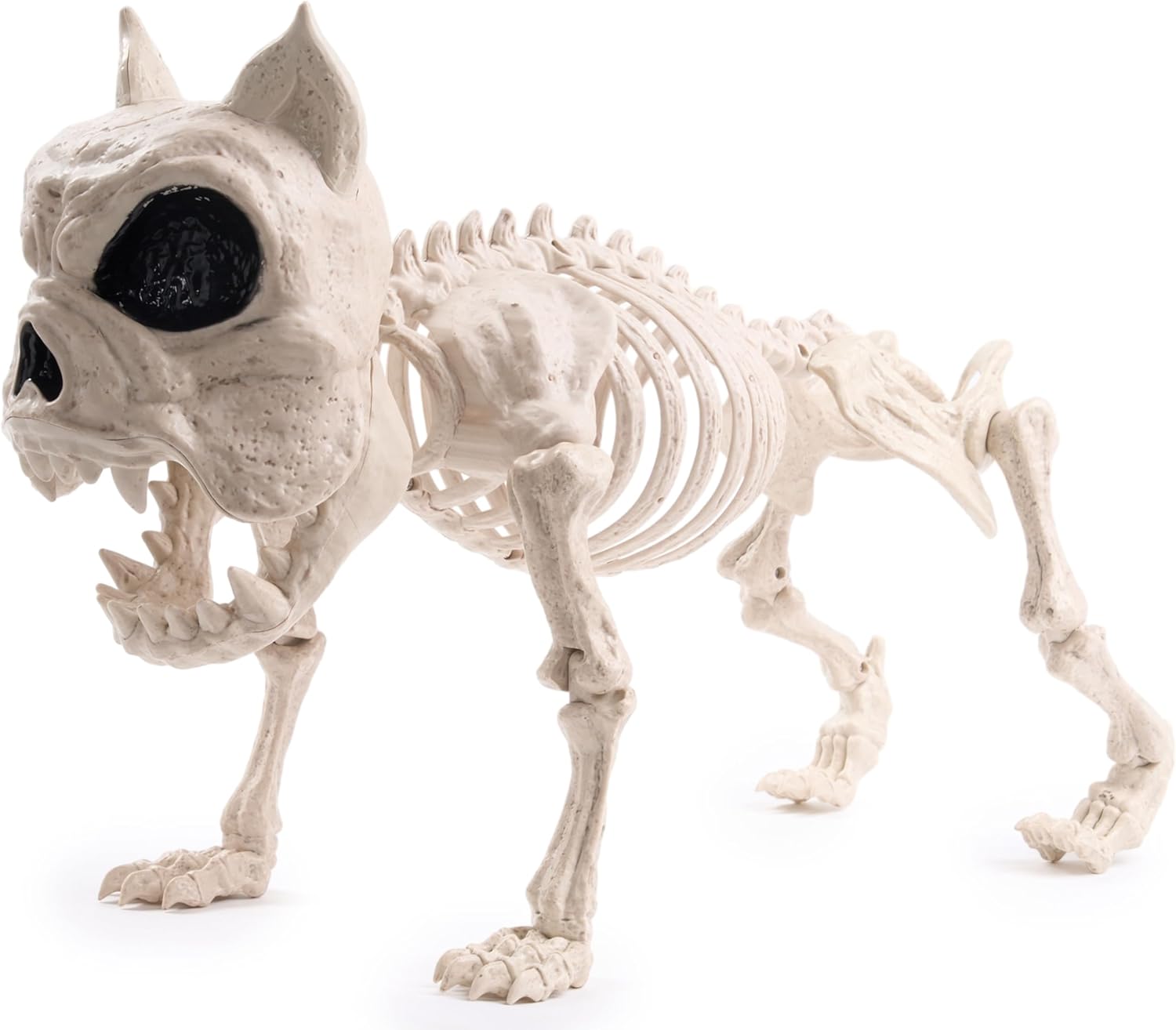 16” Posable Puppy Skeleton Halloween Decorations Realistic Plastic Dog ...
