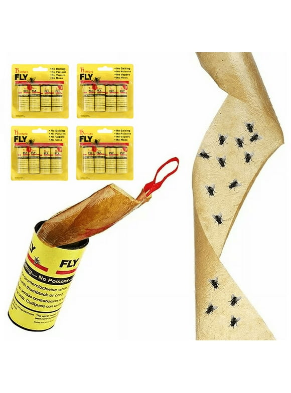 Fruit Fly and Gnat Traps in Fly - Walmart.com