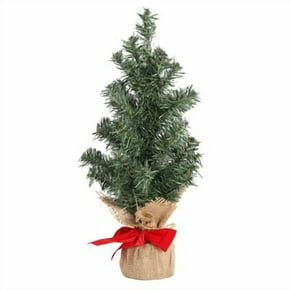 Shop 16ft Christmas Trees for Home Decor and Holiday Celebrations