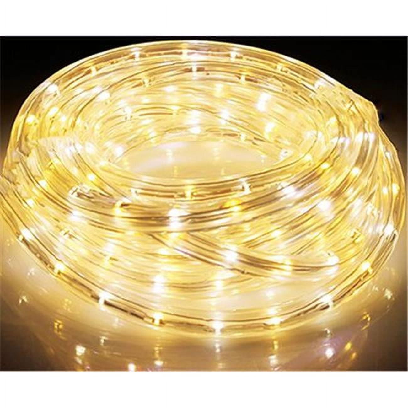 16 ft. Rope LED Lighting, White - Walmart.com