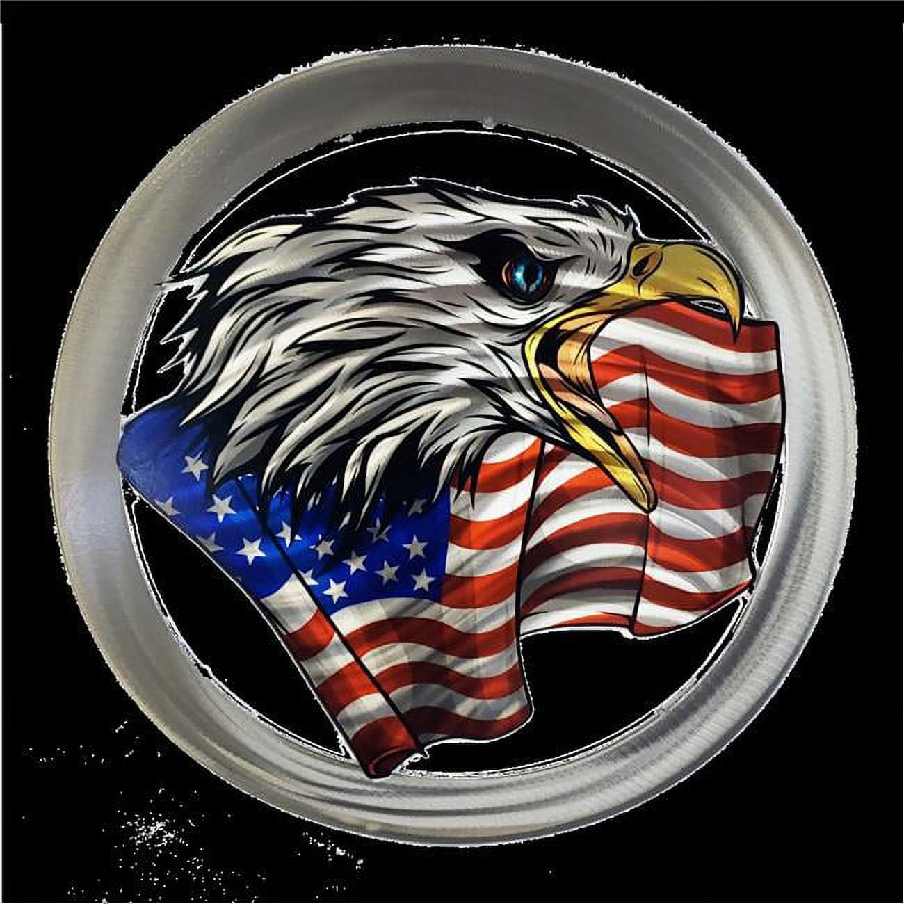 16 in. Eagle Round Framed Wall Art - Walmart.com