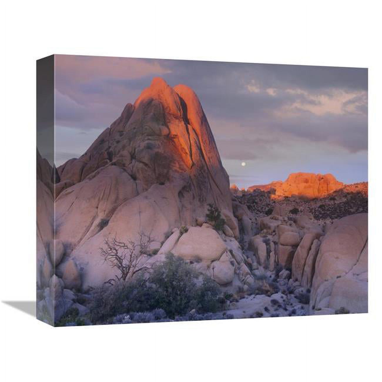 16 in. Moon Over Rocks, Joshua Tree National Park, California Art Print ...