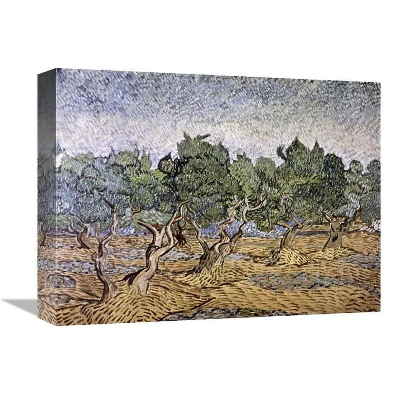 16 in. Olive Orchard, Violet Soil Art Print - Vincent Van Gogh ...