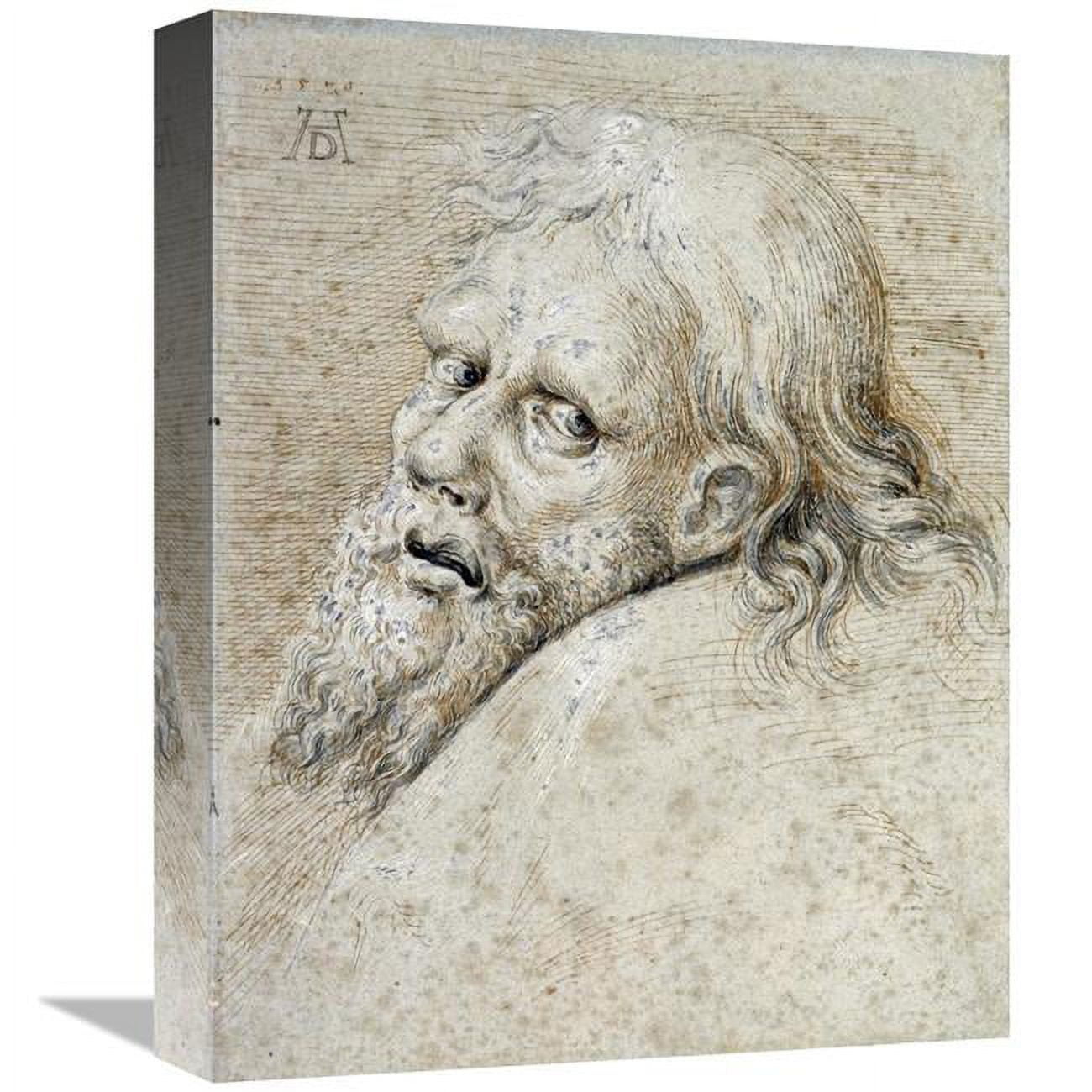 16 in. The Head of a Bearded Man Art Print - Albrecht Durer - Walmart.com
