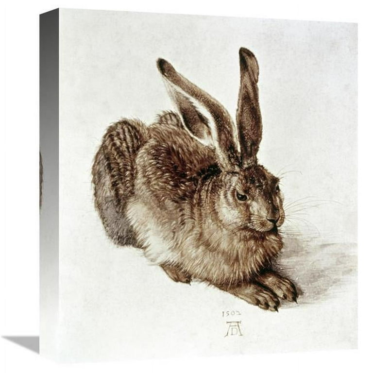 Young Hare Albrecht Durer Rabbit Wall Art, A Young Hare, Albrecht