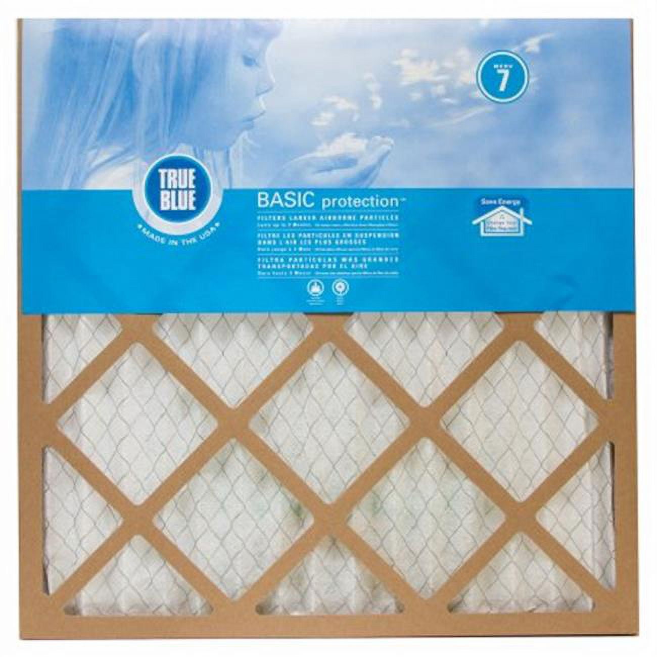 16 in. X 20 in. X 1 in. True Blue Air Filter Pack Of 12 - Walmart.com