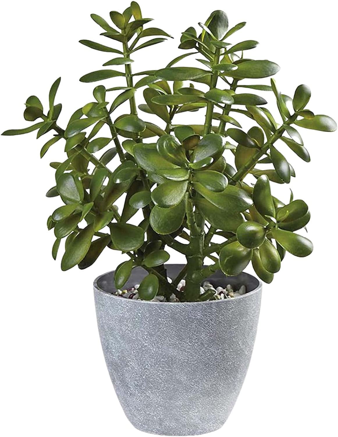 16 in. ted Faux Jade Plant Home Décor | Artificial Crassula Ovata ...