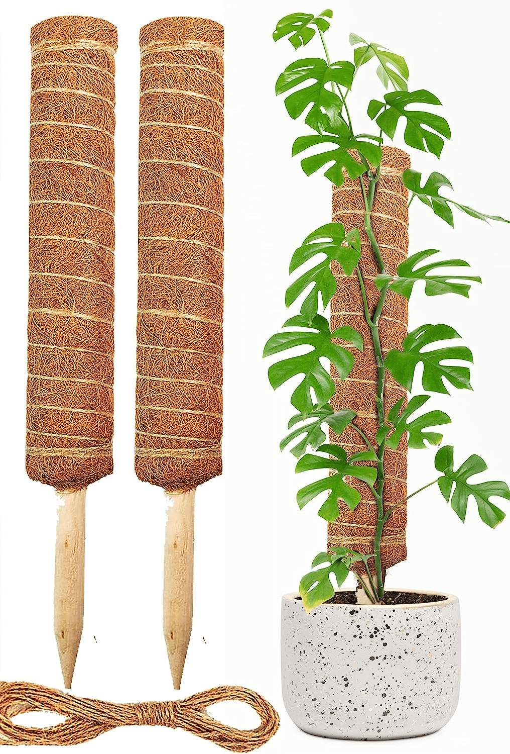 Ruseen 16-inch Extendable Moss Pole for Indoor Potted Climbing Plants ...
