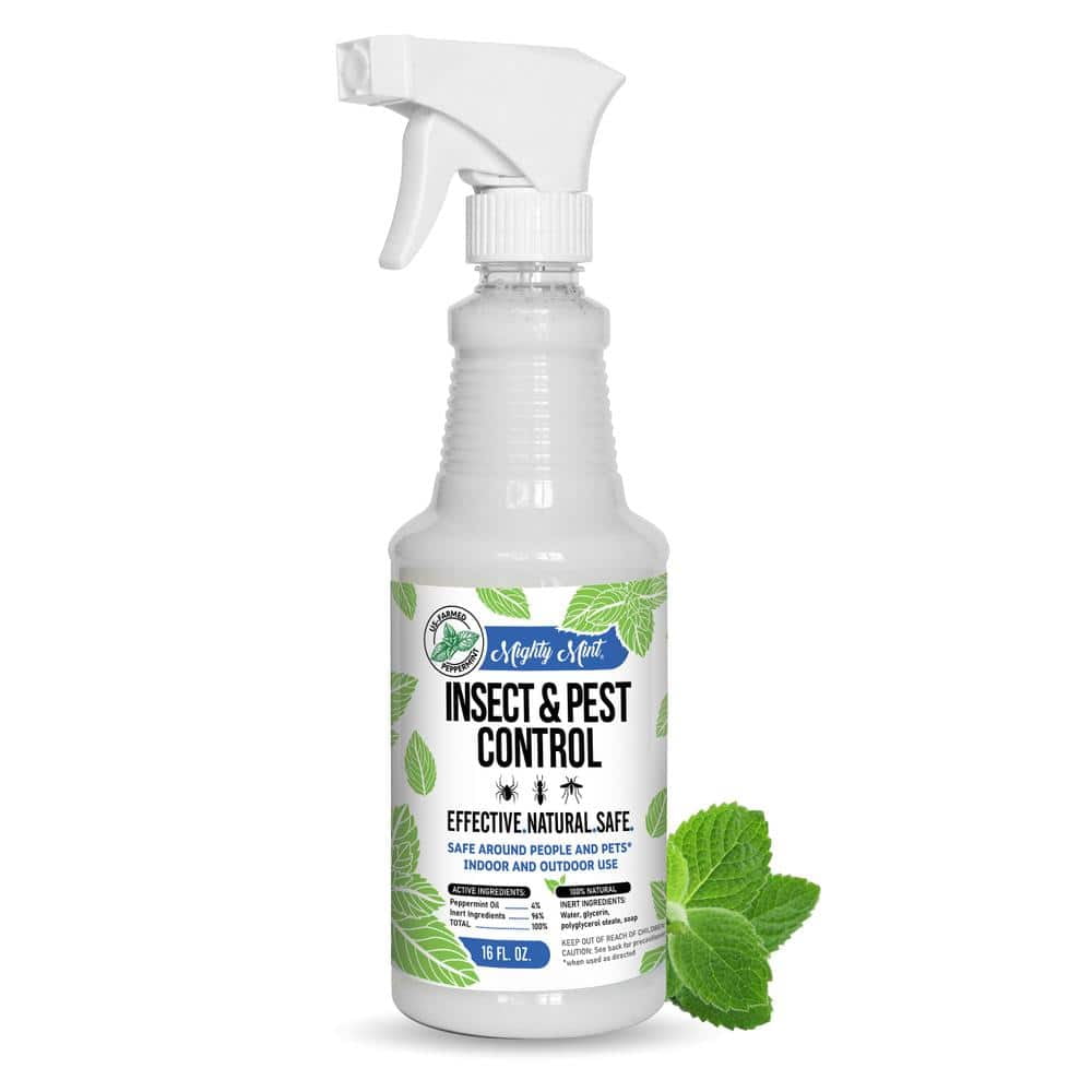 16 oz. Insect and Pest Control Peppermint Oil - Natural Spray for ...