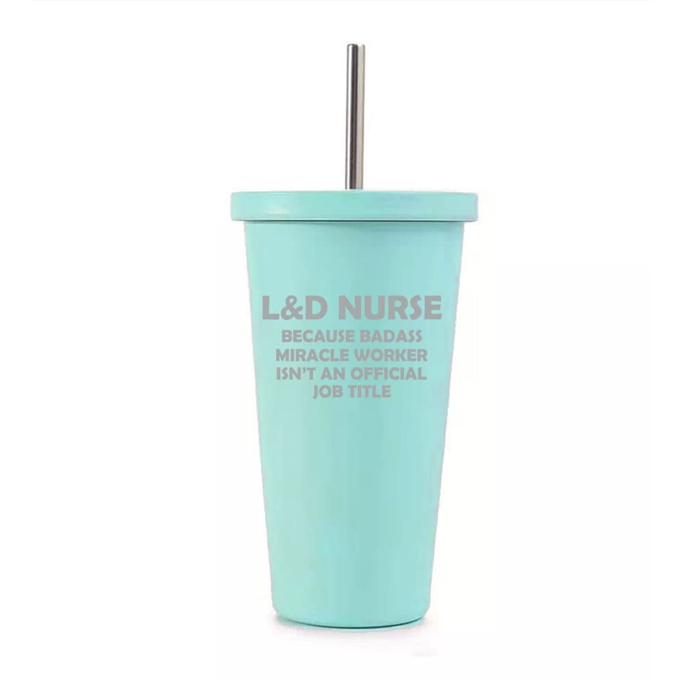 16 oz Stainless Steel Double Wall Insulated Tumbler Pool Beach Cup ...