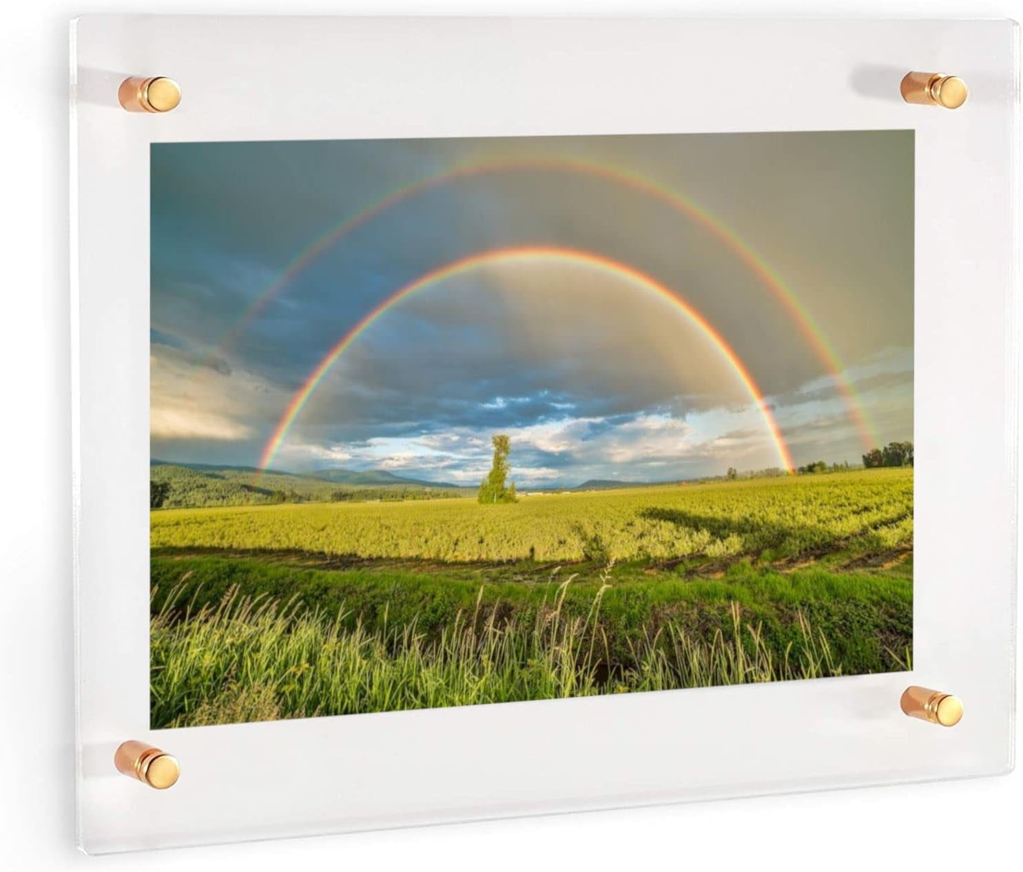 (16" x 20") Clear Acrylic Wall Mount Floating Picture Frame with (Gold ...