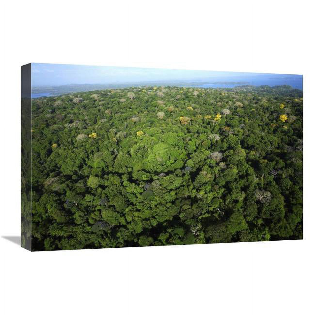 16 x 24 in. Aerial VIew of the Canal Zone, Barro Colorado Island ...