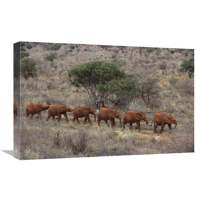 16 x 24 in. African Elephant Young Orphans, Tsavo East National Park ...