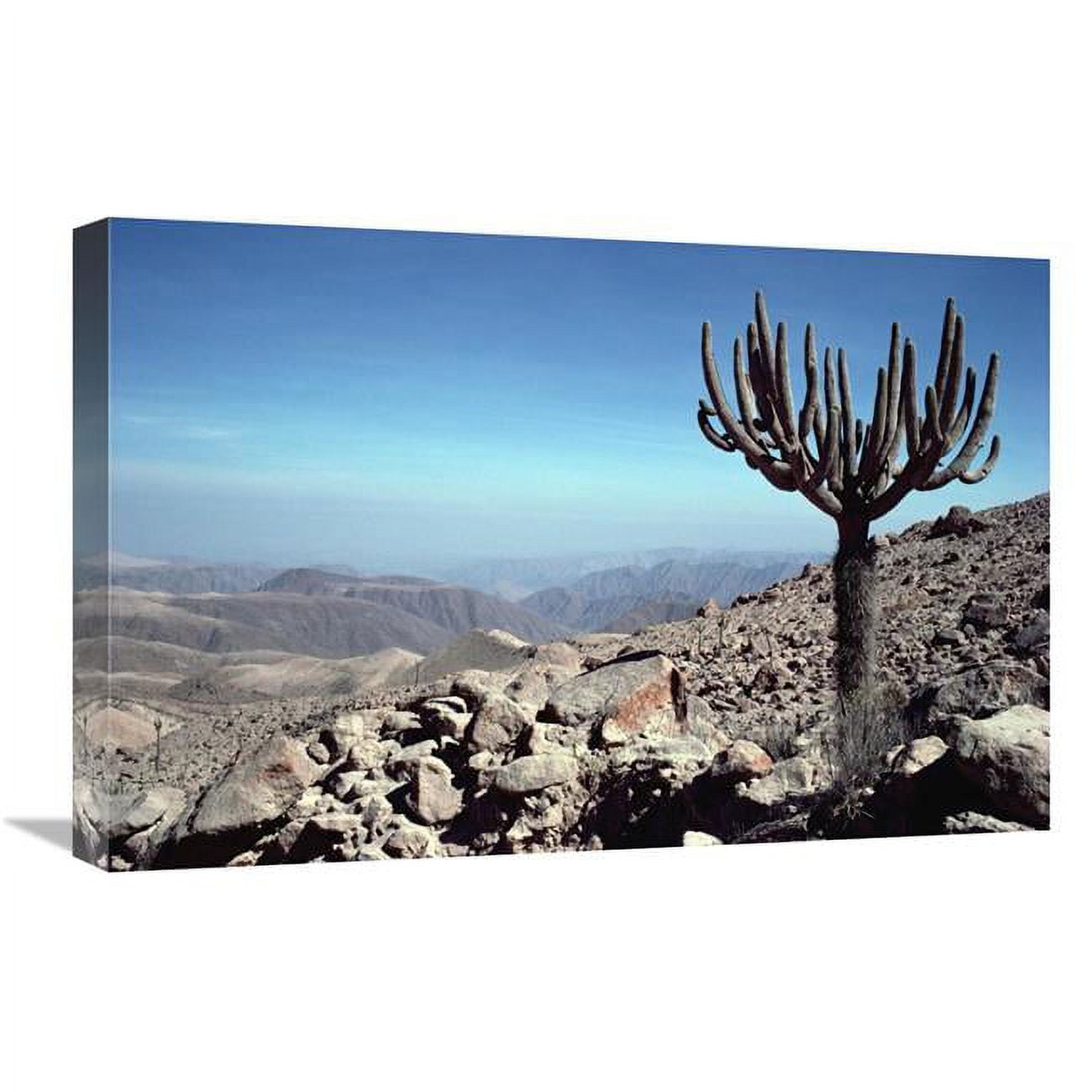 16 x 24 in. Atacama Desert Located At Foothills of the Andes, Driest ...