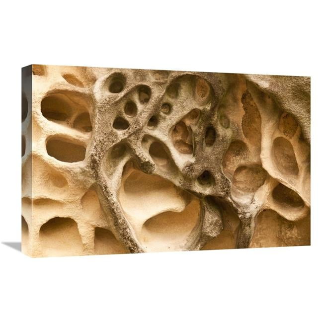 16 x 24 in. Cavernous Weathering in Sandstone Rock, Sydney, Australia ...