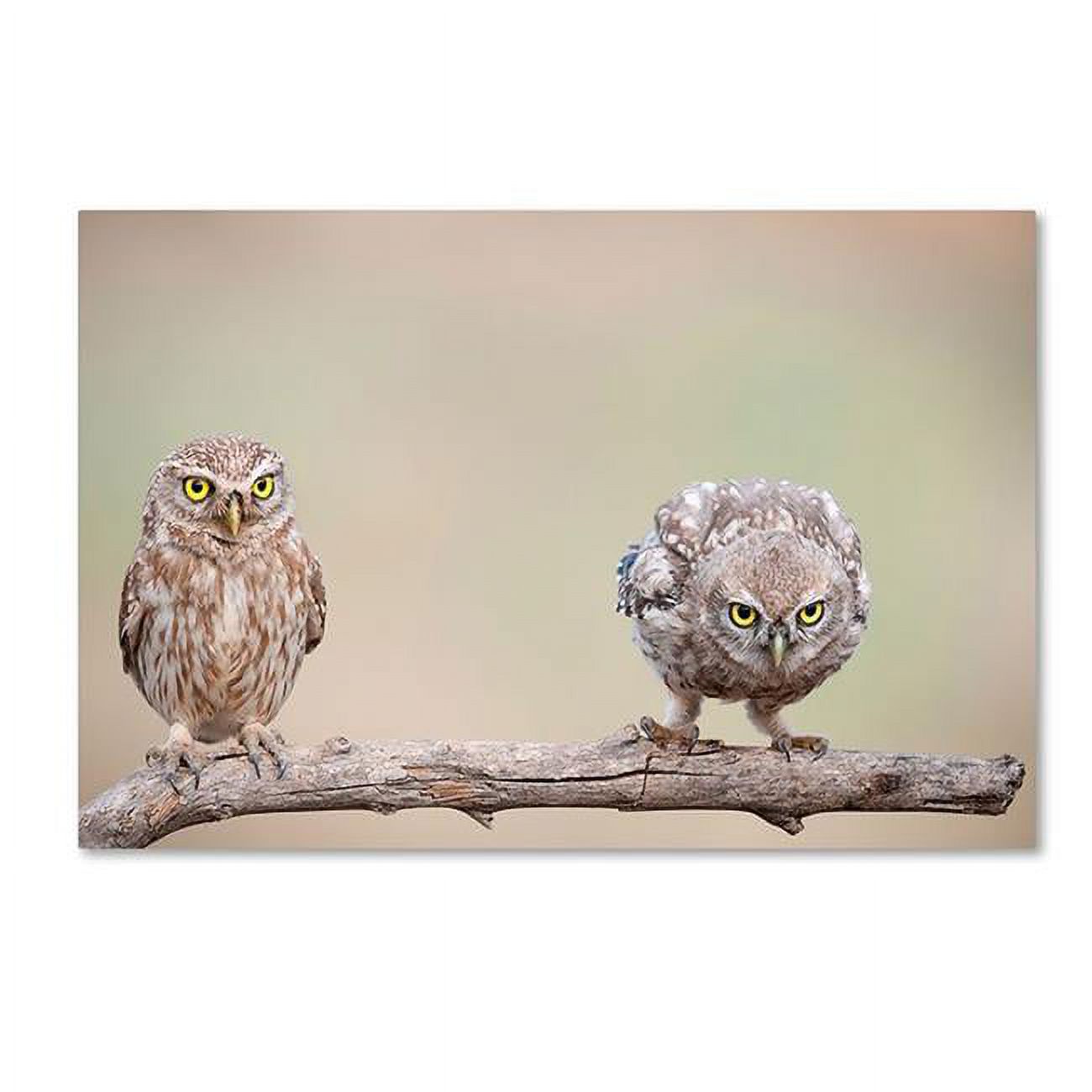 16 x 24 in. Curiosity of Chick Canvas Art - E.Amer - Walmart.com