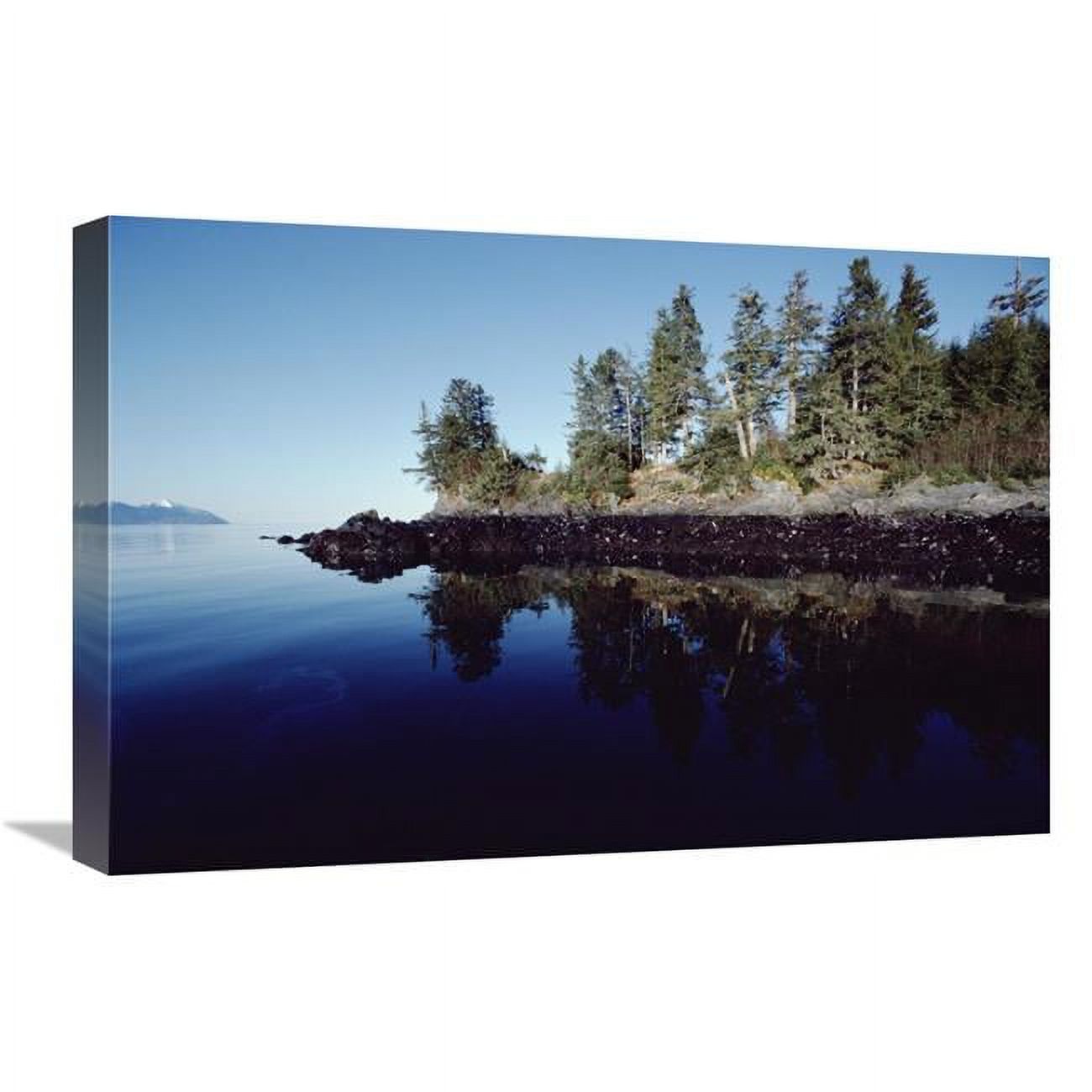 16 x 24 in. High Tide Mark Shows Oil Spilled by Exxon Valdez, Prince ...