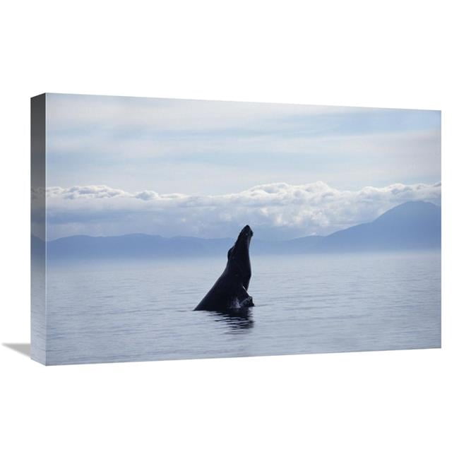 16 x 24 in. Humpback Whale Breaching, Southeast Alaska Art Print - Flip ...