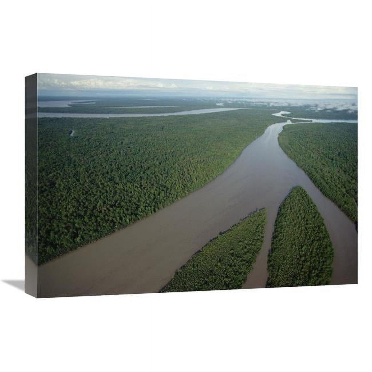16 x 24 in. Kikori River & Runs Through Rainforest, Kikori Delta, Papua ...