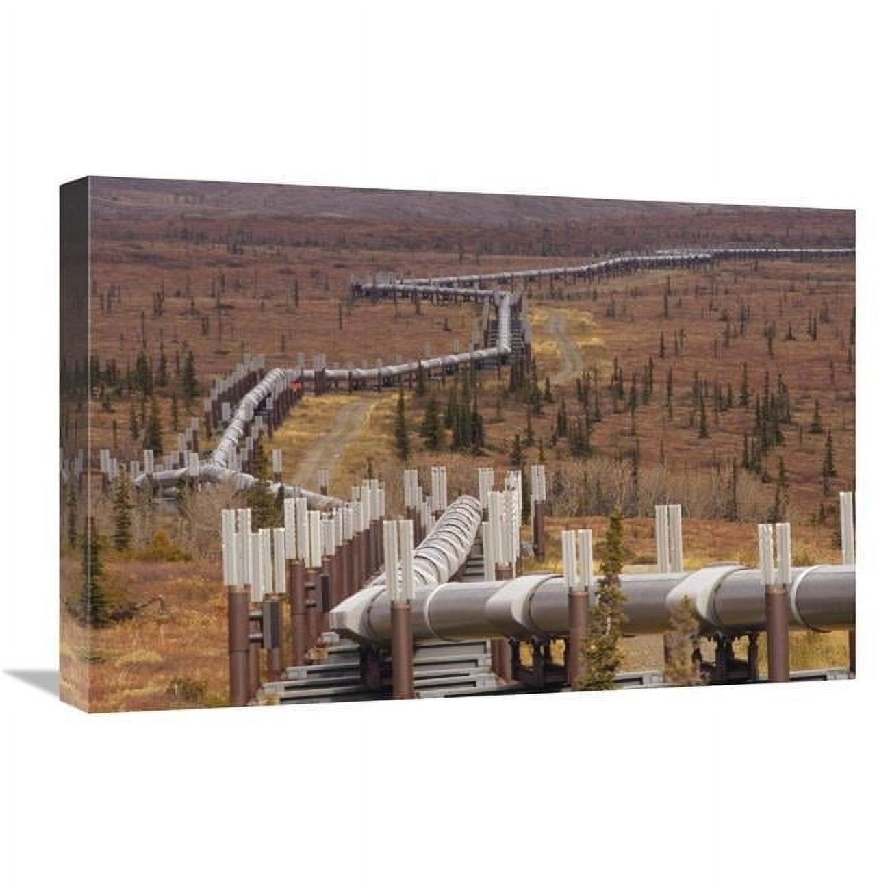 16 x 24 in. Oil Pipeline Crossing Taiga, Alaska Art Print - Gerry Ellis ...