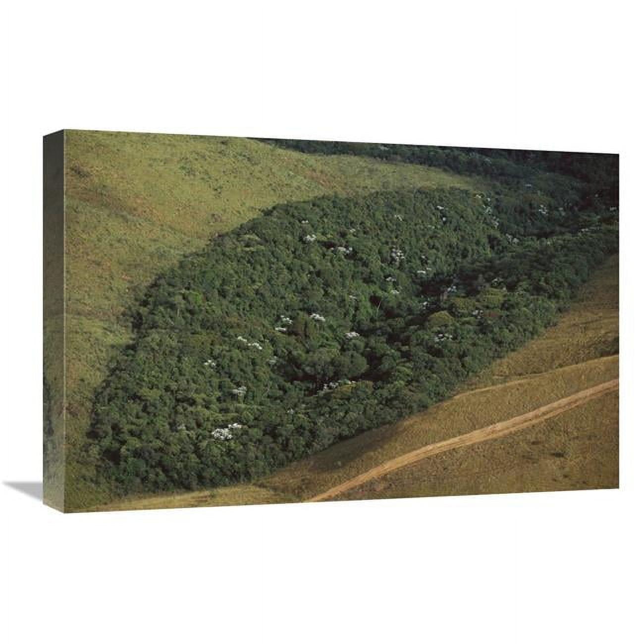 16 x 24 in. Patch of Remnant Rainforest Surrounded By Clearcut, Belo ...