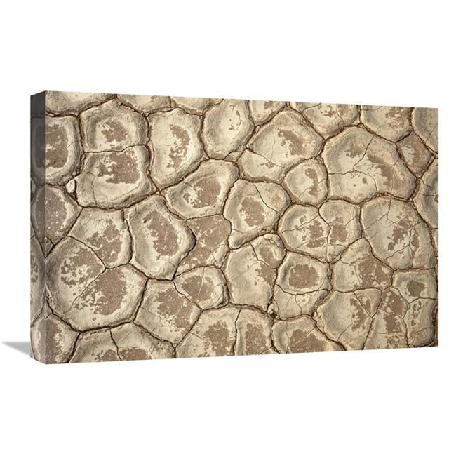 16 x 24 in. Patterns in the Clay Pan of Dead Vlei Art Print - Vincent ...