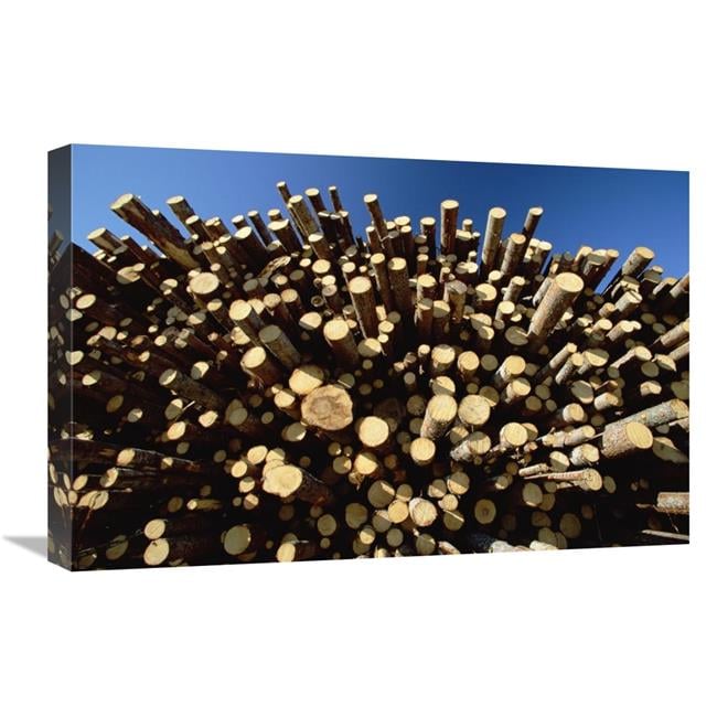 16 x 24 in. Pile of Harvested Pine Logs Dry Before Being Milled, Sweden ...